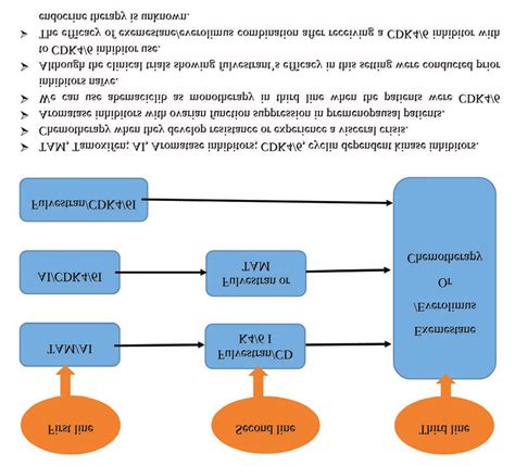 Proposed Algorithm For Management Of Hrher2 Abc Download