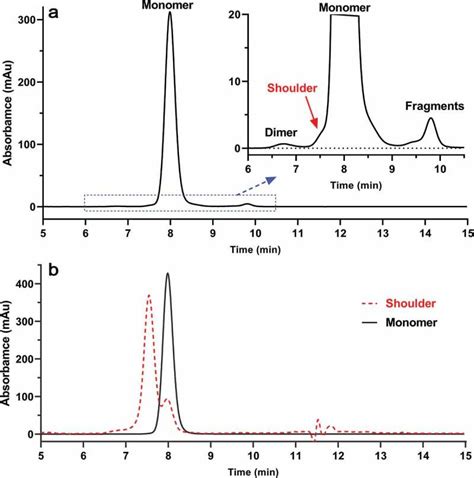 Identification And Characterization Of An Igg Sequence Variant With An 11 Kda Heavy Chain C