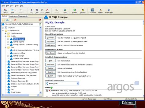 Columns Report Query Plsql Exception