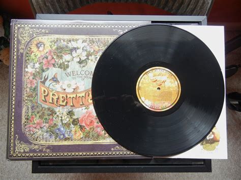 Pretty Odd Vinyl