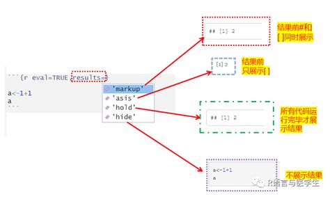 Rmarkdown学习 code chunk程序代码块 知乎
