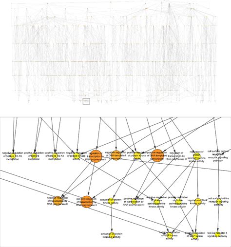 figure 9 from opleiding informatica identifying overlapping processes
