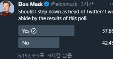 일론머스크 투표결과  세리에매니아