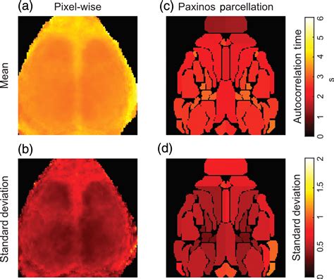 Statistical Approaches To Temporal And Spatial Autocorrelation In Resting State Functional