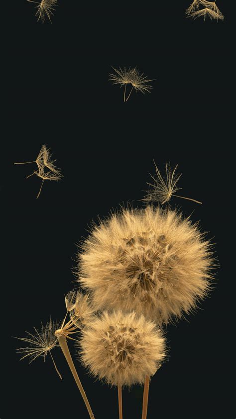 K Ultra Hd Nature Wallpapers Wallpapers Com