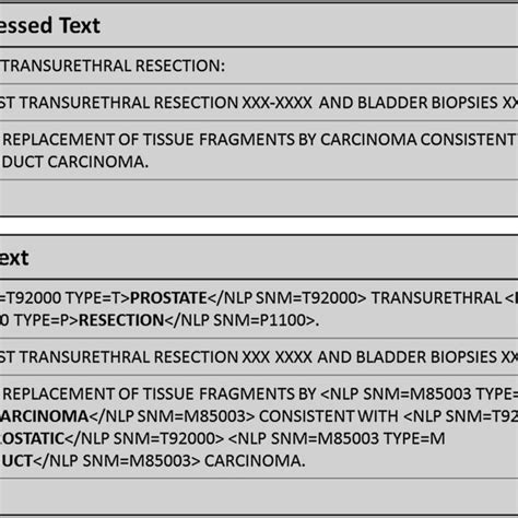 Sample Pathology Report Text Following Preprocessing And Code