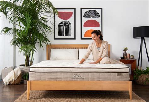 Tempur Pedic Tempur Proform Supreme 3 Inch Queen Mattress Topper