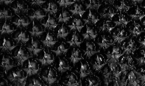 Premium Photo Texture Of Pineapple Skin Patterned Fruits Background