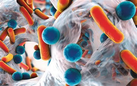 Bio Based Bacteria Beating Antimicrobial Additive Solutions