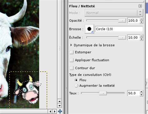 Gimp Tp Clonage Entre Images Wiki Debian Facile