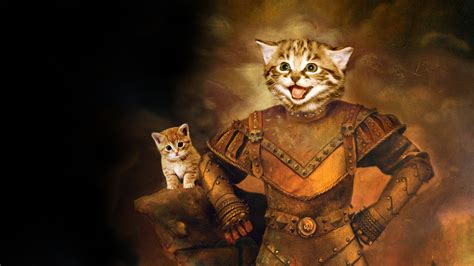 Cat Computer Wallpapers Desktop Backgrounds 1920x1080 Id 79271