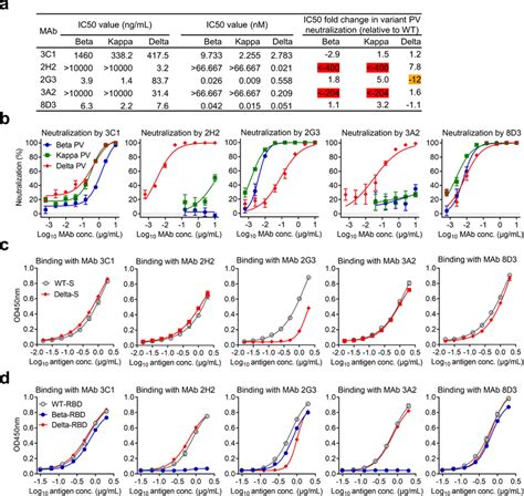 Neutralization Breadth And Binding Properties Of The Mabs 3c1 2h2