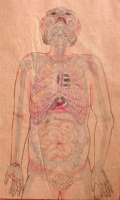 Anatomical Illustrations From Edo Period Japan ~ Pink Tentacle