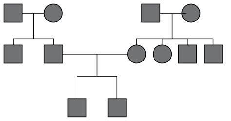 Detailed Guide To Genogram Examples Of Different Types