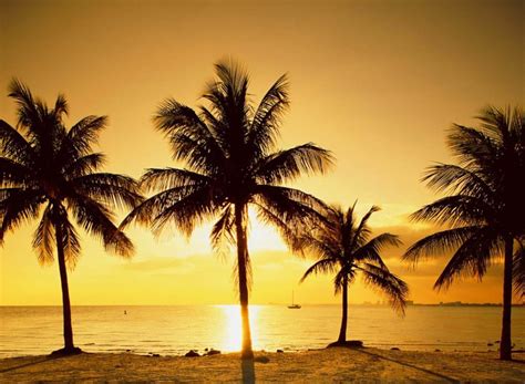 Florida Smith Team Ocala Fl