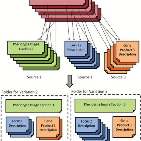 Flow Chart For Search Engine Retrieval From Query Processing To Download Scientific Diagram