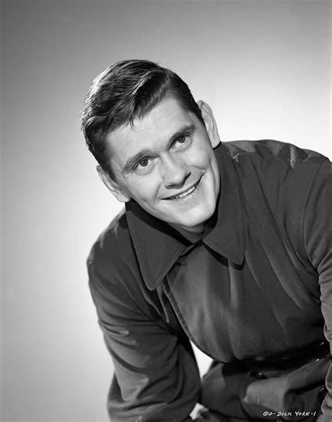 15 Best Darrin Stephens Images On Pinterest Wizards Elizabeth