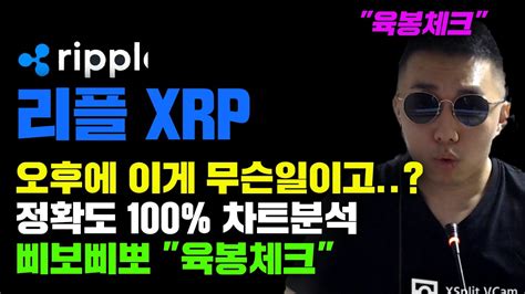 리플 Xrp 긴급 삐보삐뽀 시장급락 육봉체크 정확도 100 차트분석 갑자기 무슨일이고 코인시황 Youtube