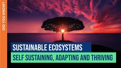 Sustainable Ecosystems Self Sustaining Adapting And Thriving Did