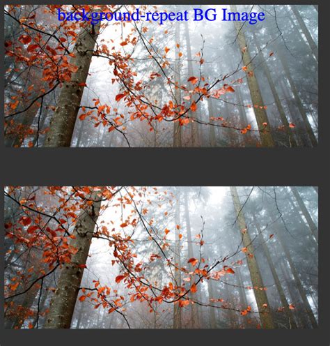 Explain All The Background Properties Dev Community