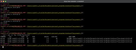 shell script ¿que significa 2 en bash stack overflow en español