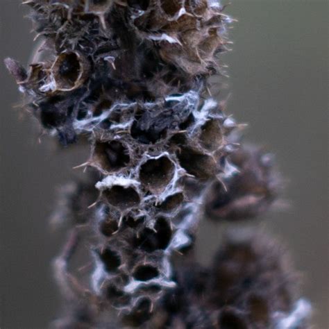 stream codecast x ctafad drifting particles by codecast listen
