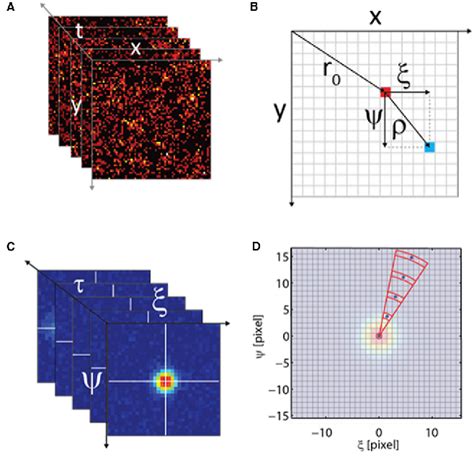 Figure 1 From Diffusion Tensor Analysis By Two Dimensional Pair