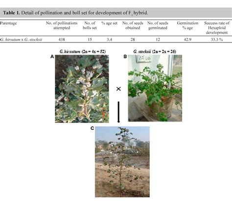 Table 1 From Introgression Of Genes For Cotton Leaf Curl Virus