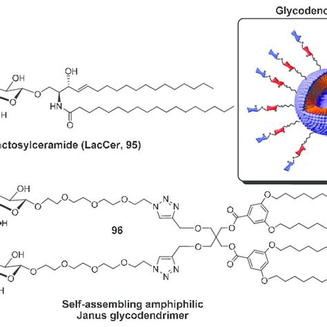 Pdf Multivalent Carbohydrate Lectin Interactions How Synthetic
