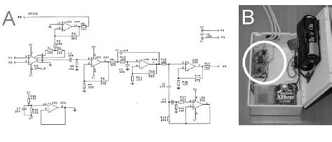 Ecg Detection Circuit Design A Schematic Of The Circuit B Anlog