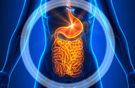 Dr Mthokozisi Mdlalose Phd On Linkedin Isiqephu Sokuqala Ubumqoka Bethumbu Bayede News