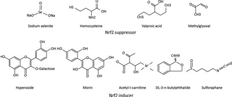 Nrf2 As A Target For Prevention Of Age‐related And Diabetic Cataracts