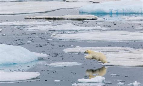 Microplastics From European Rivers Spreading To Arctic Seas Research