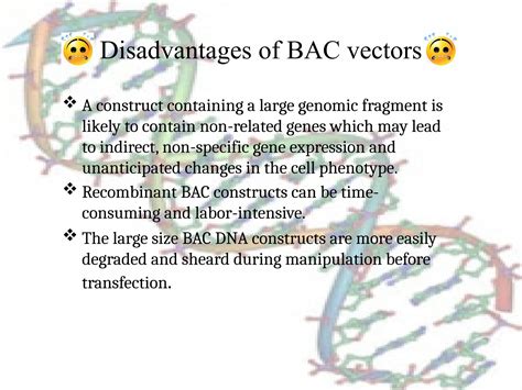 Bacterial Artificial Chromosome Yup Pptx