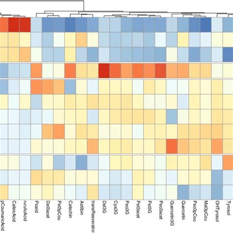 Hierarchical Clustering Of Gis Small Areas By Phenolic Composition