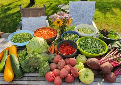 Beginners Guide To Starting A Self Sustaining Farm