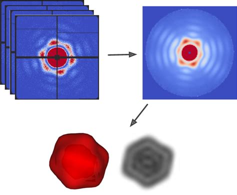 Figure 1 From Low Signal Limit Of X Ray Single Particle Diffractive