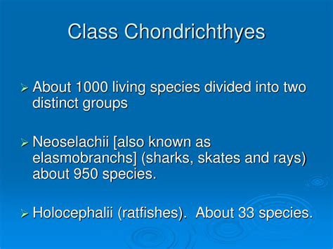 Ppt Class Chondrichthyes Cartilaginous Fishes Powerpoint