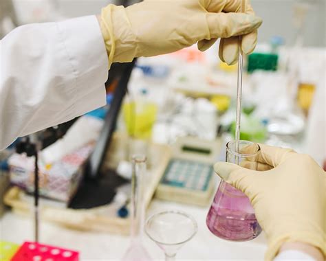 Biomedical Sciences Translational Biomedical Engineering And Sciences Rowan University