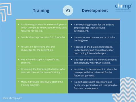 Difference Between Training And Development Comprehensive Guide