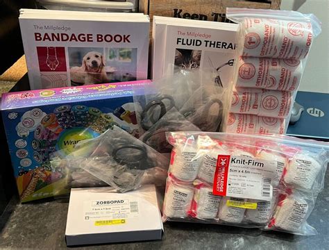 Bandaging Angels Guest Lecture Programme Bandaging Angels