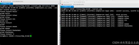 【linux】socket编程—udp Csdn博客