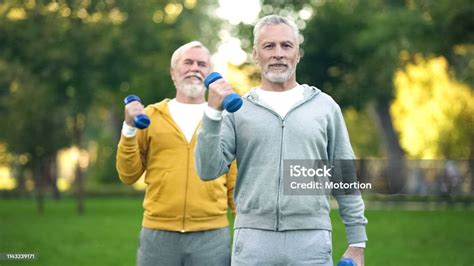 활성 은퇴 친구 리프팅 덤 벨 피트 니스 트레이닝 공원 건강 한 노화 근육질 체격에 대한 스톡 사진 및 기타 이미지 근육질