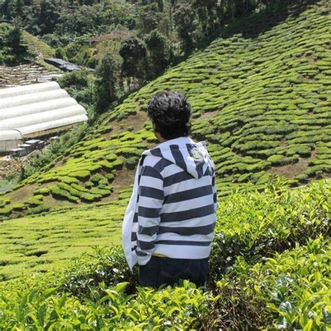 Faisal Ishaque Medium