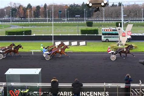 Levrette Cheval Retrouvez Toutes Les Performances De Levrette