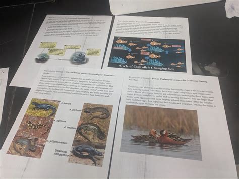 Diverse Reproductive Strategies Gallery Walk — Gender Inclusive Biology