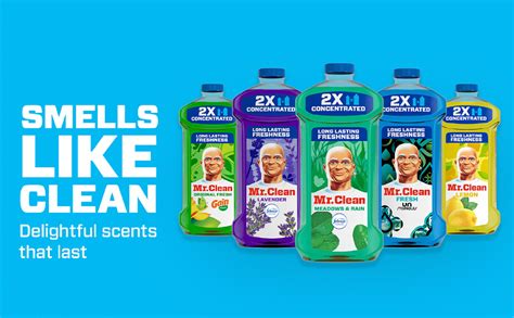 Mr Clean All Purpose Cleaner Floor Cleaner For Mopping