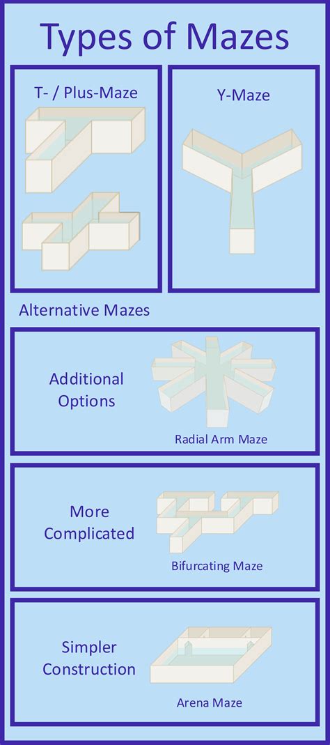 Lessons In Cognition A Review Of Maze Designs And Procedures Used To