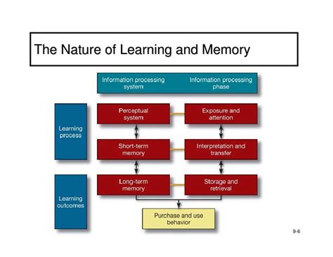 bb chapter nine learning and memory