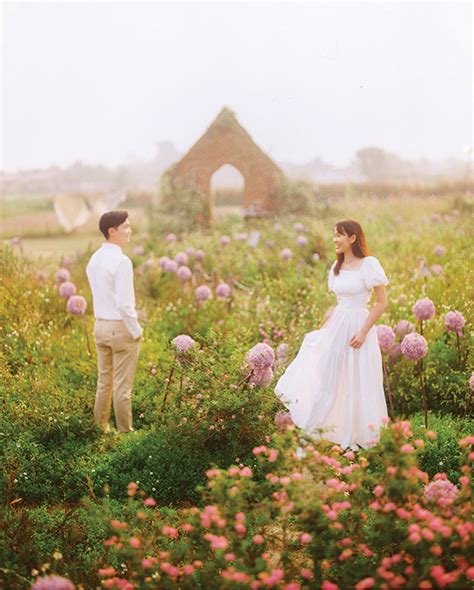 Flowerful Visit Beautiful Sceneries Chiang Mai
